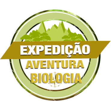 CBTV Internacional | CBTV